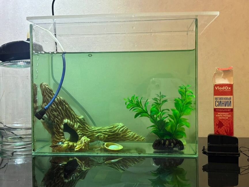 Продам аквариум с двумя рыбками