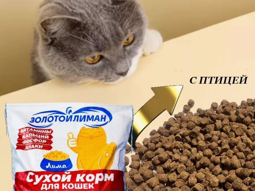Сухой корм для кошек
