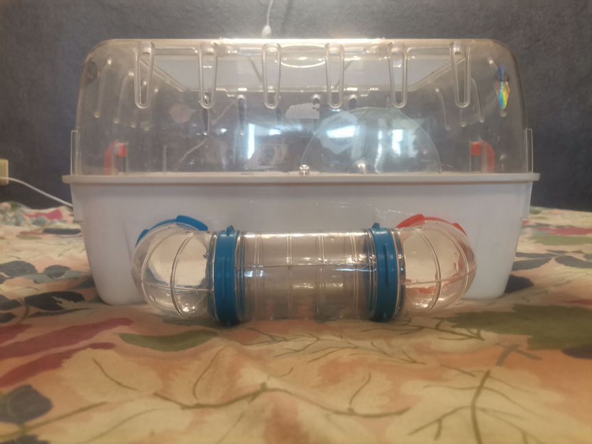 Клетка для грызунов бу