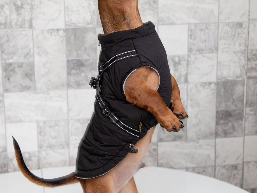 Куртка Комфорт для собак