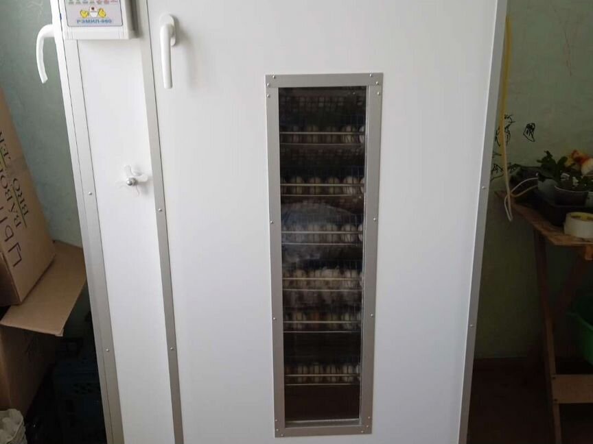 Инкубатор рэмил