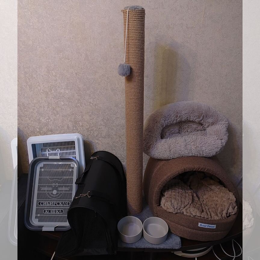 Всё для котёнка-кошки(когтеточка,лотки, миски, дом