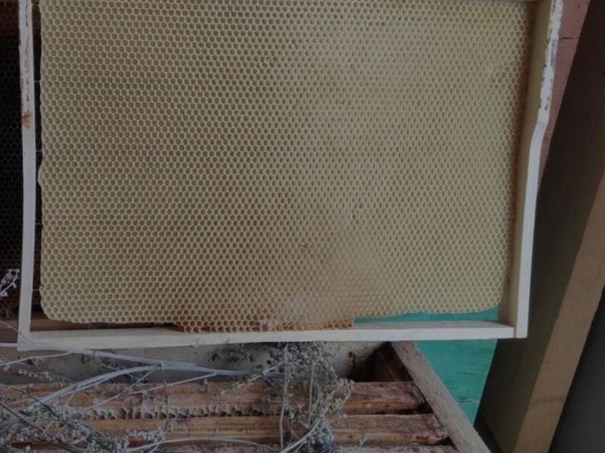 Сушь для пчел,рамки и пчелы