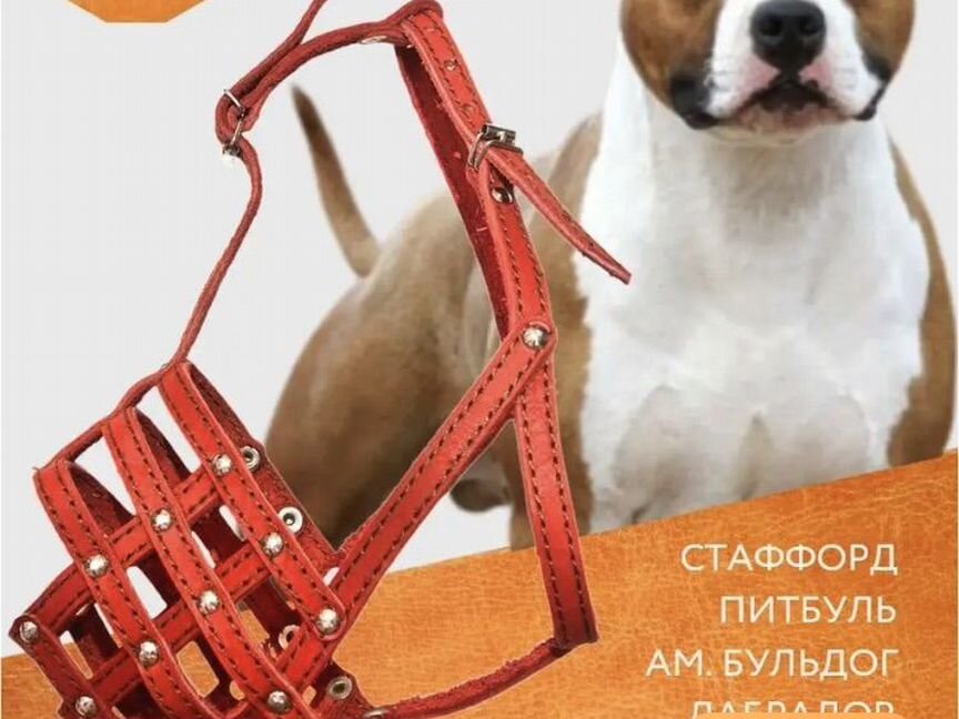Намордник для собак