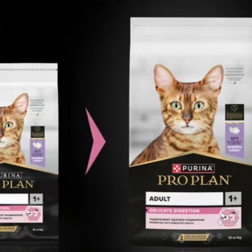 Корм для кошек