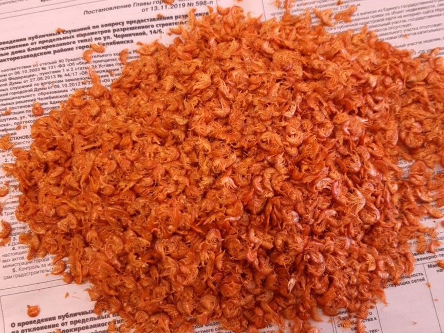 Гаммарус сушенный опт