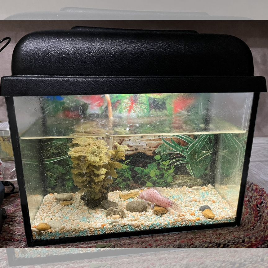 Аквариум 10 литров со всем наполнителем
