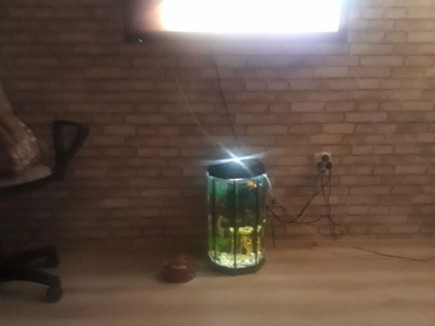 Аквариум
