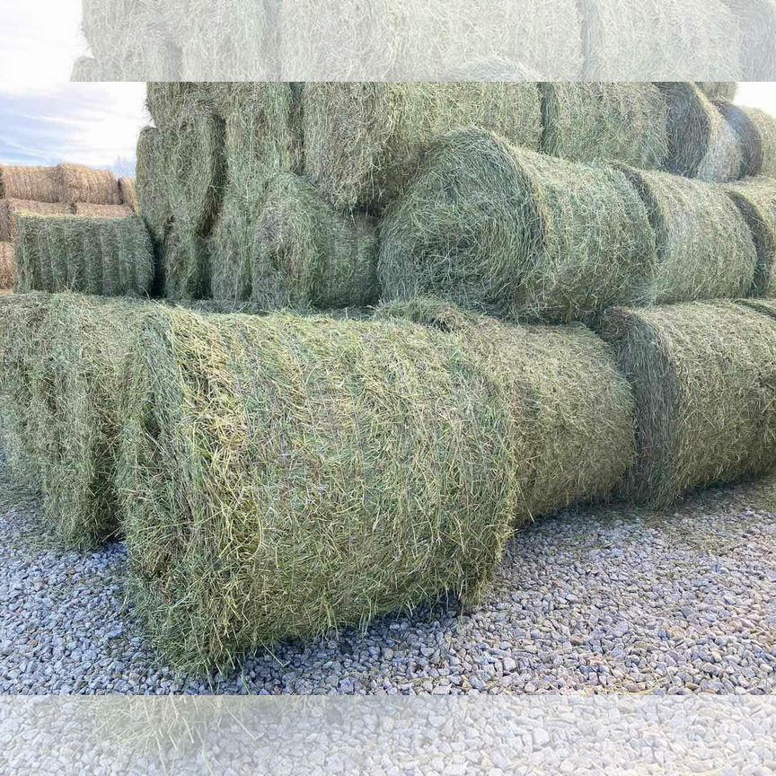Сено в катушках