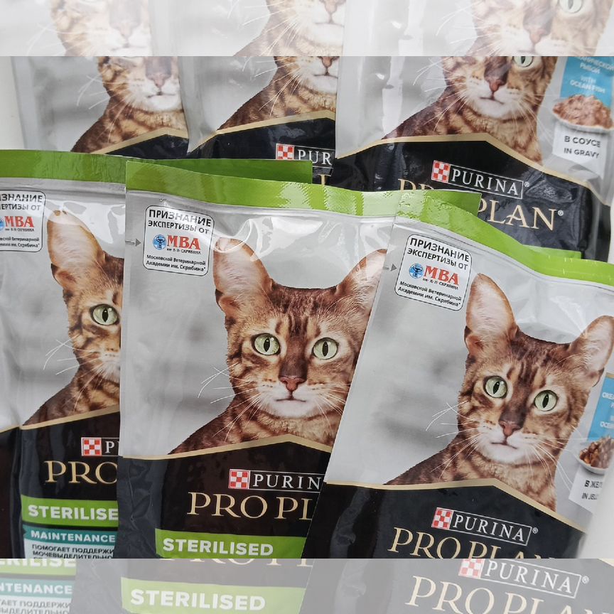 Влажный корм для кошек proplan