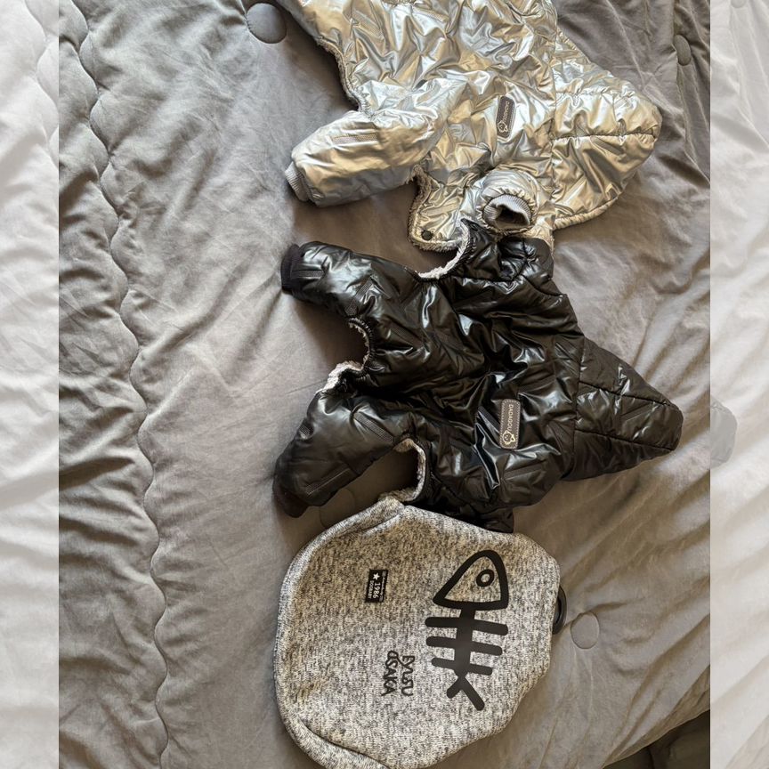 Одежда для собак мелких пород