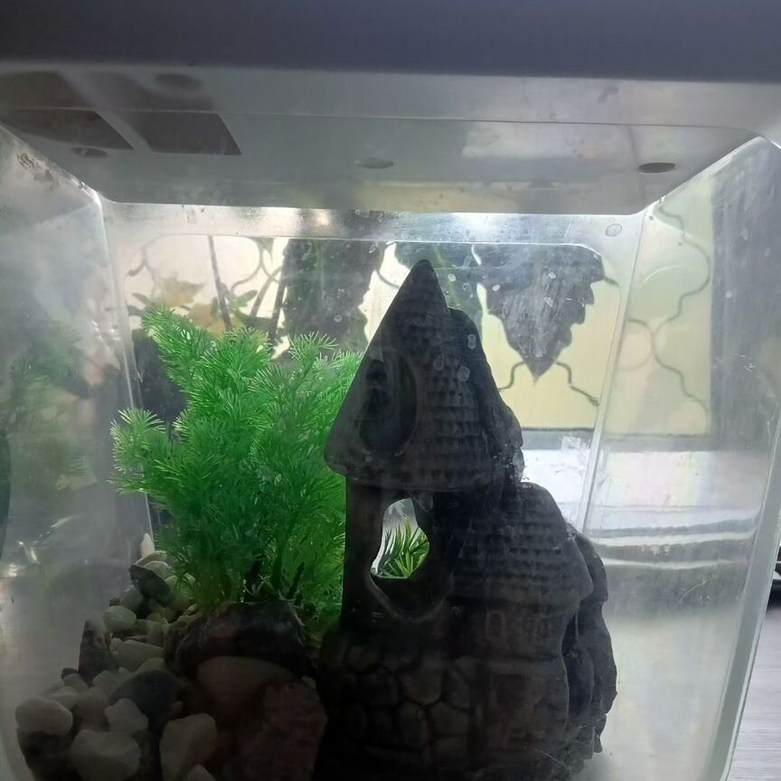 Аквариум-миниферма б/у