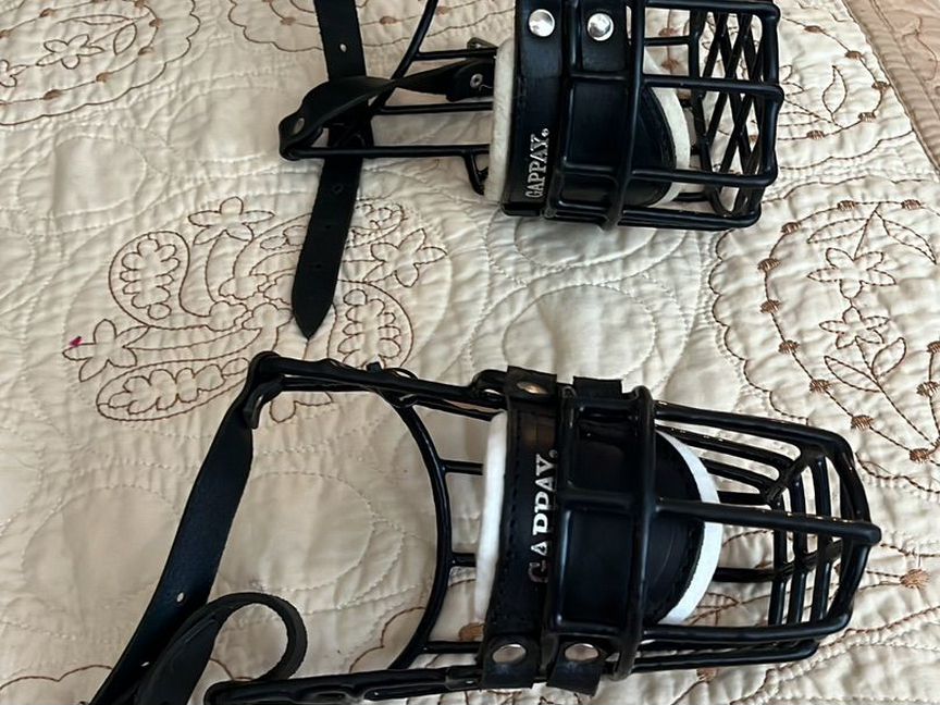 Намордники для собак Gappay