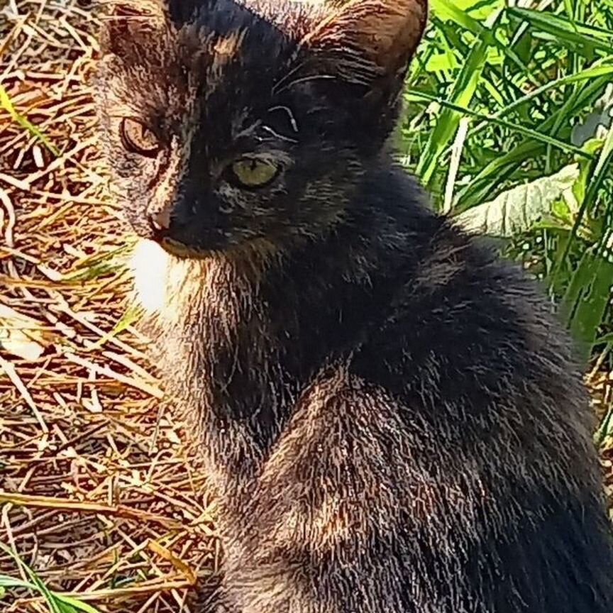 Милая очаровашка Найденыш