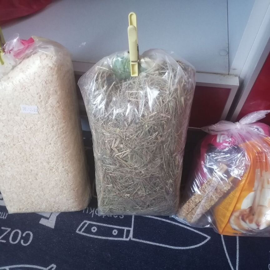 Принадлежности для животных