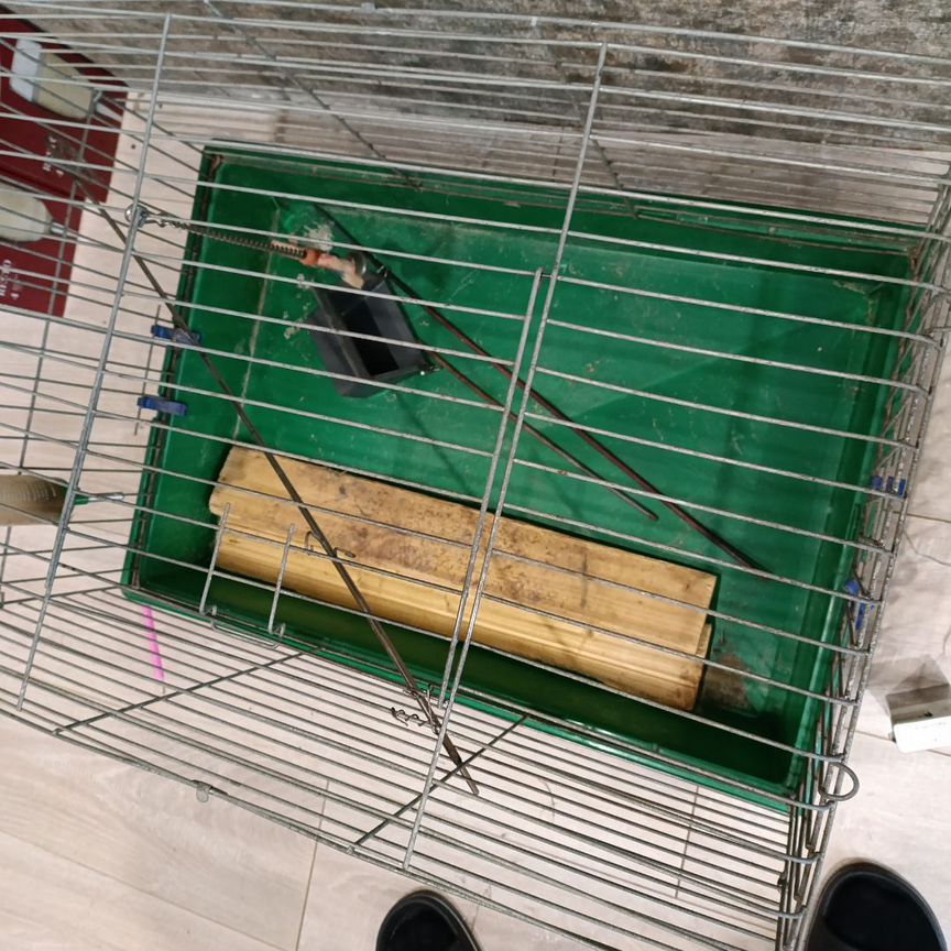 Клетка для шиншилы