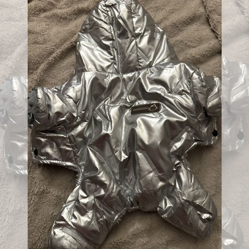 Одежда для собак