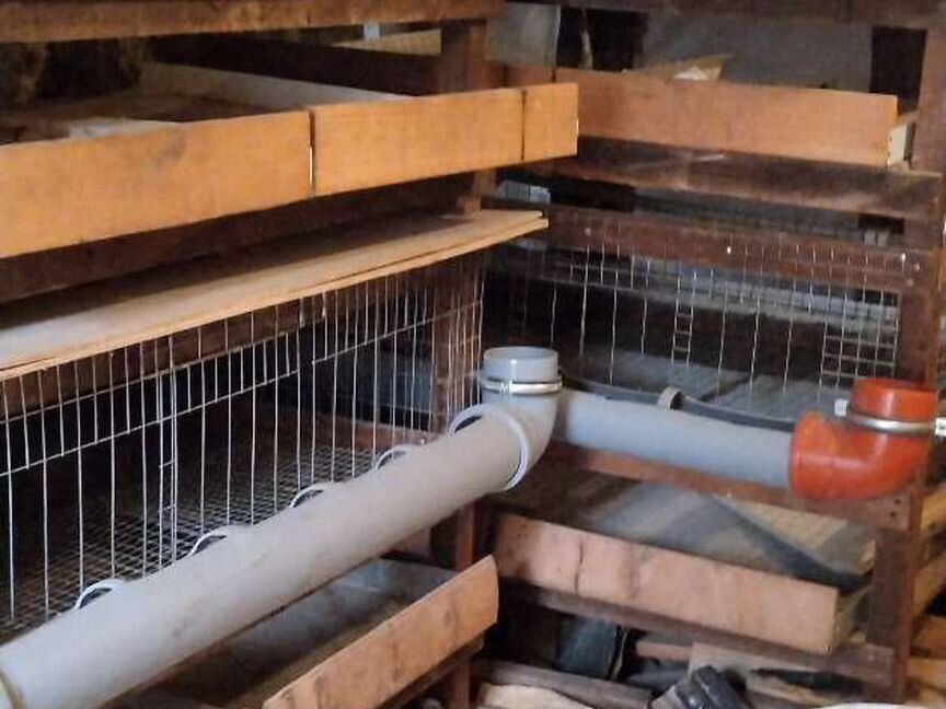 Брудер и клетки для кур и бройлеров