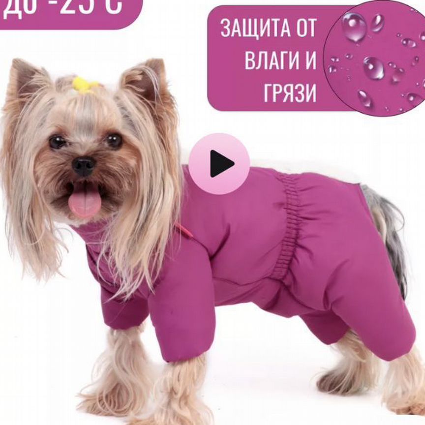 Зимний комбинезон для маленькой собаки (девочки)