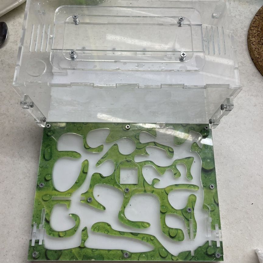 Муравьиная ферма формикарий