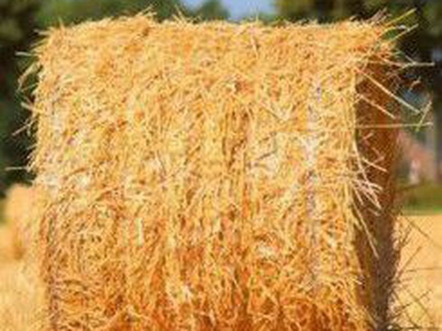 Солома в рулонах