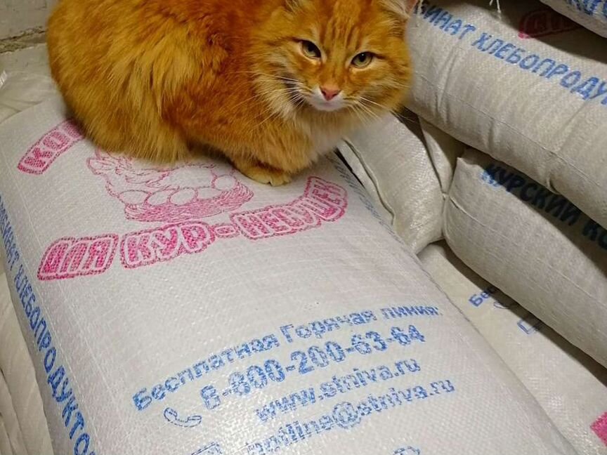 Комбикорма