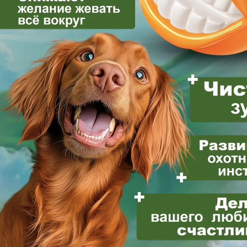 Мяч Апельсин грвзак для собак