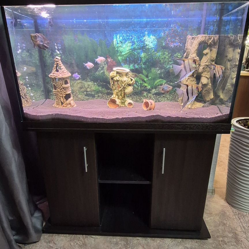 Аквариум 220 литровс тумбой