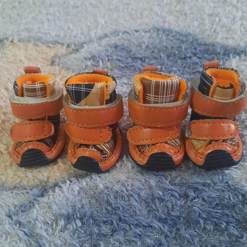 Обувь для собак