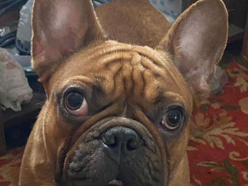 Симпатяшка