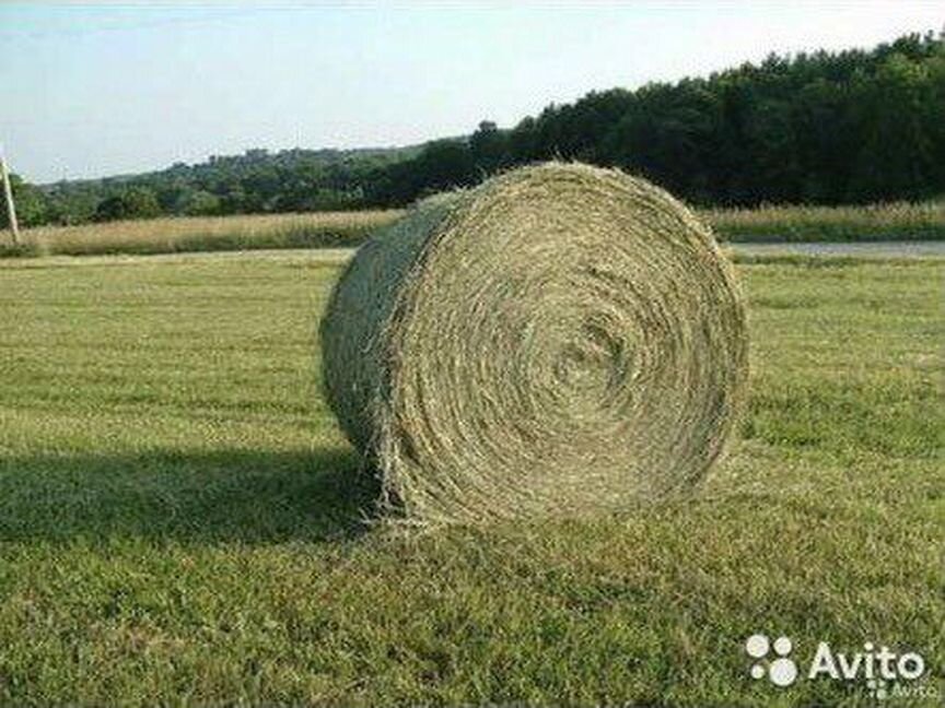 Продажа сена и соломы