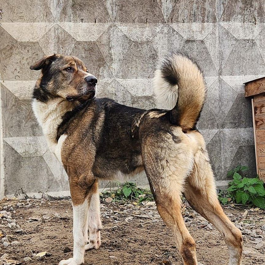 Шикарный парень