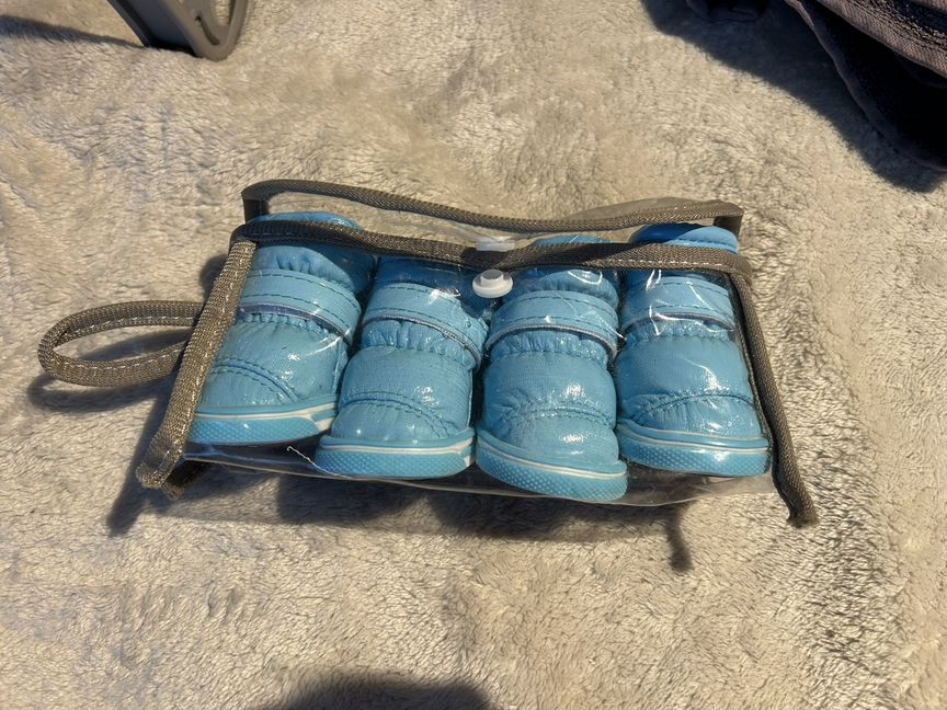 Ботинки для маленьких собак