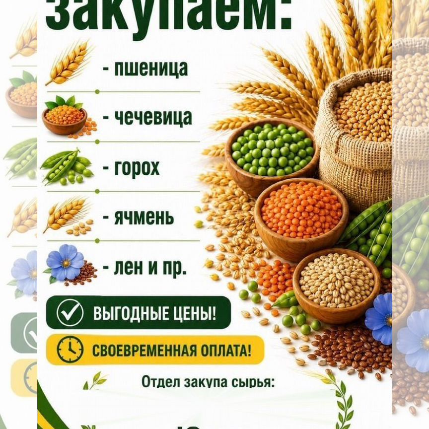 Закуп - пшеница 4 класс