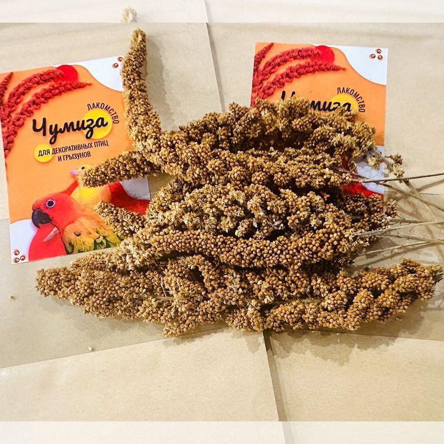 Чумиза в колосках 1 кг