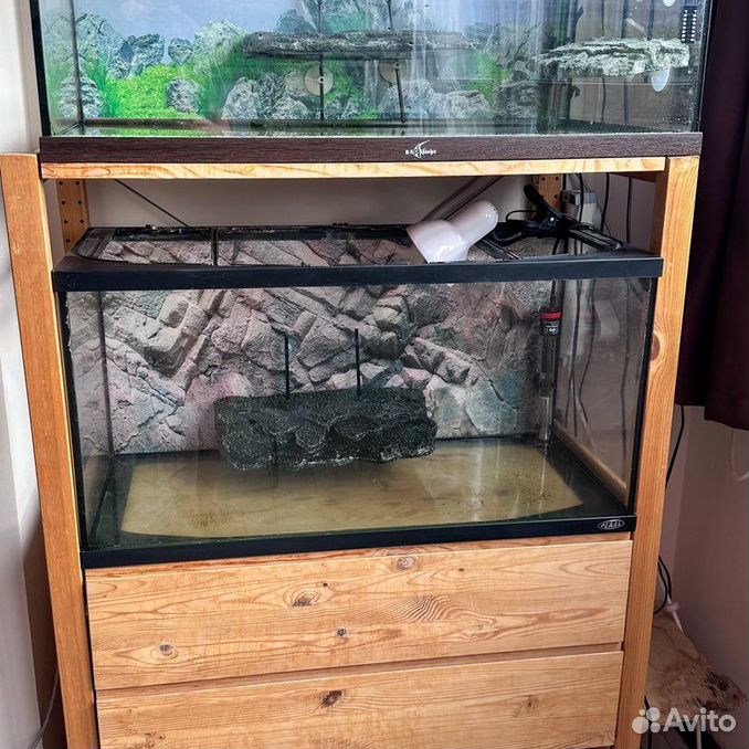 Аквариум и террариум