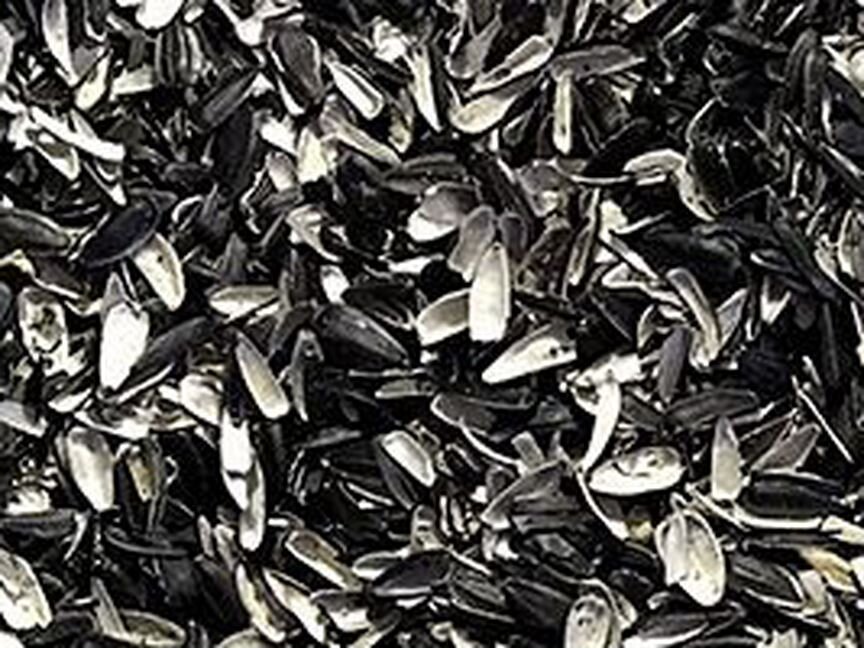 Лузга подсолнечника