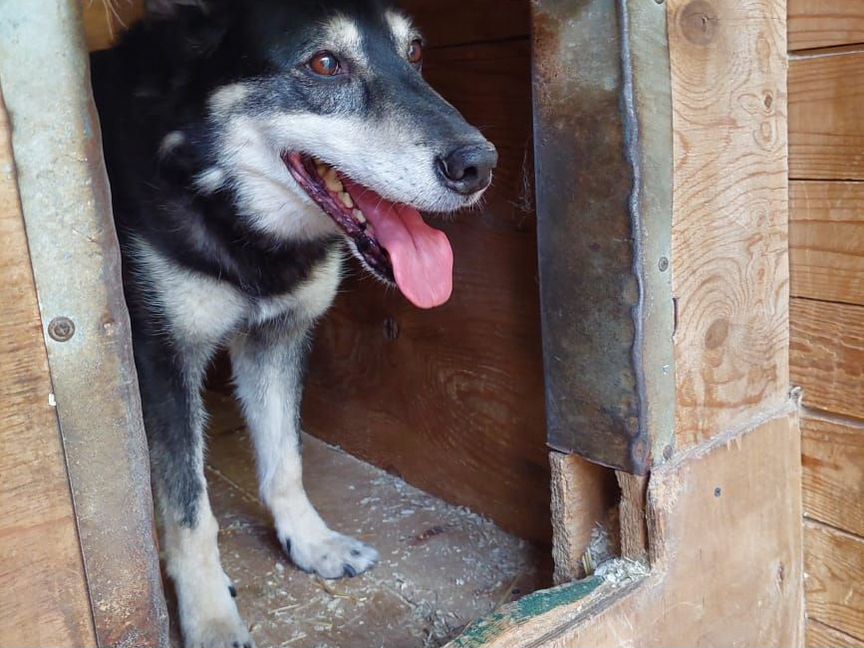 Долгие 10 лет Джоник ждёт в приюте свою семью