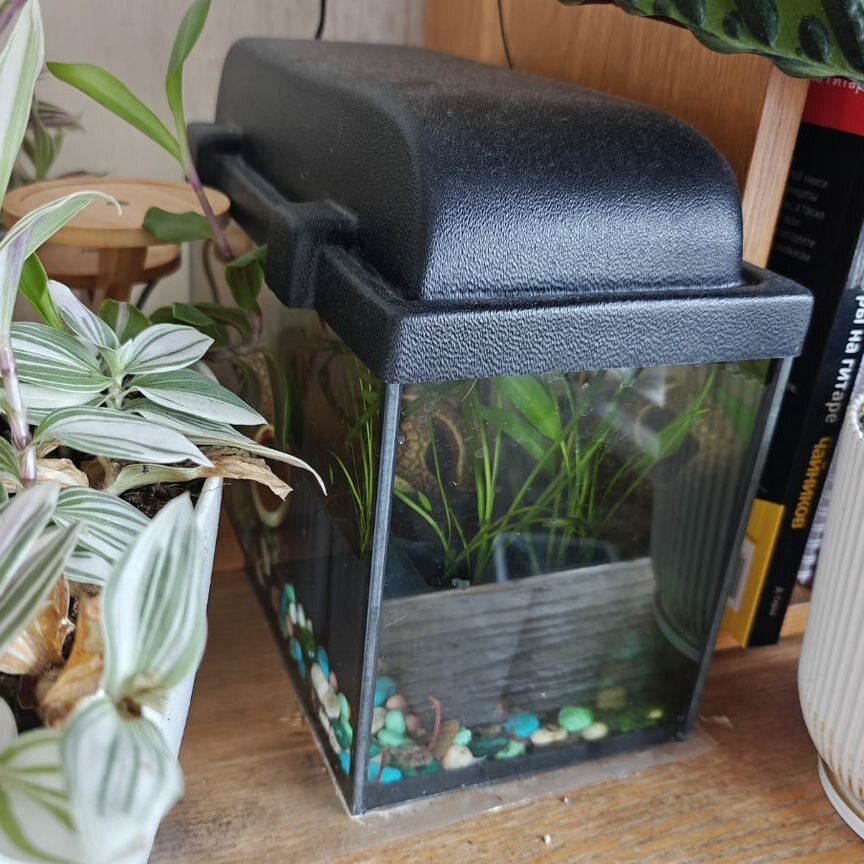 Аквариумы 30 и 5 литров