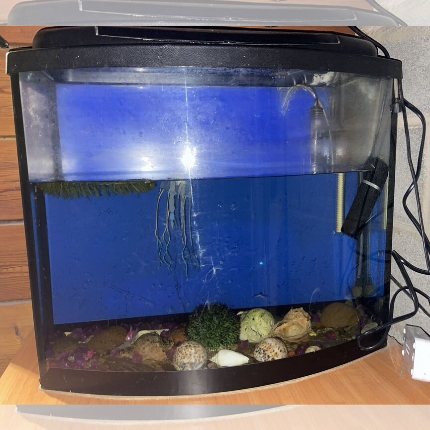 Аквариум со всем содержимым