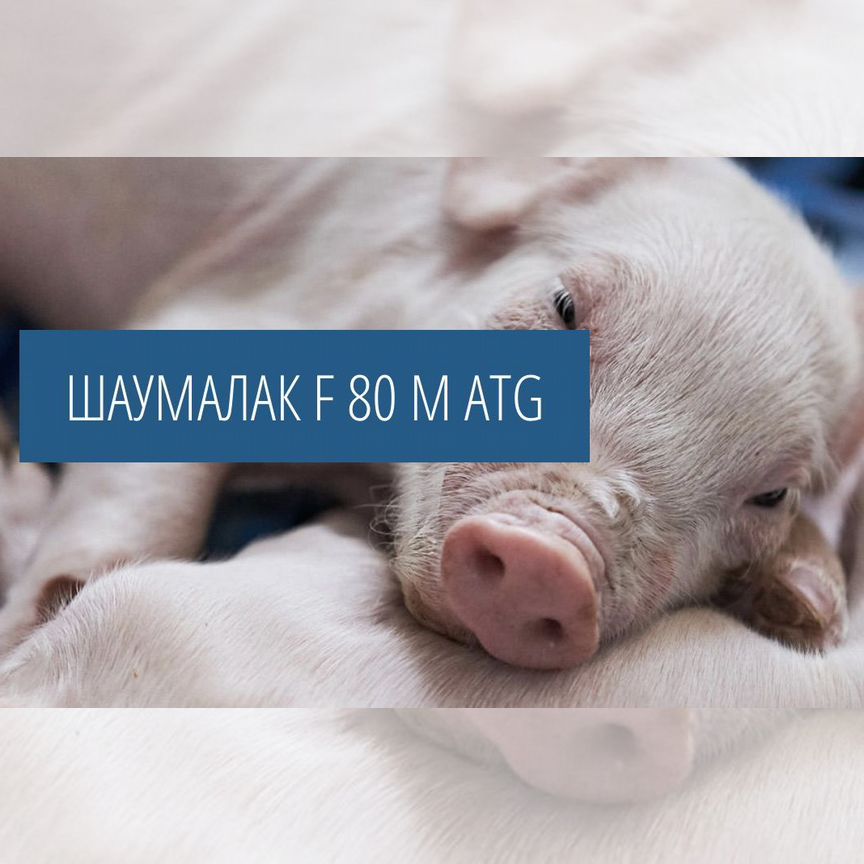 Премикс для свиней