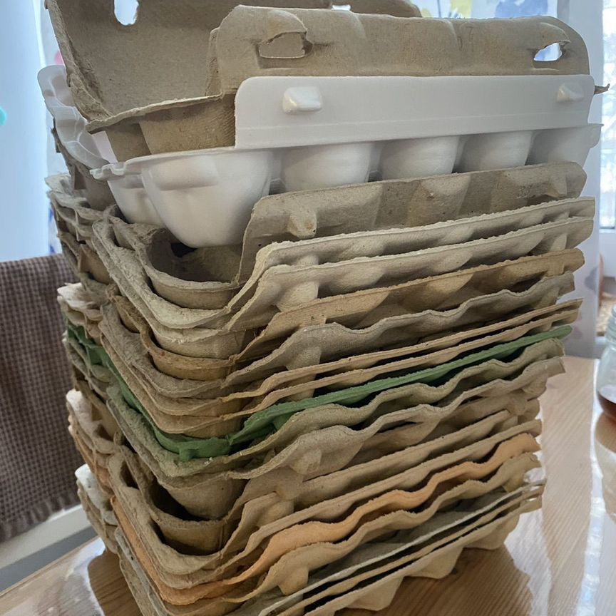 Яичные лотки