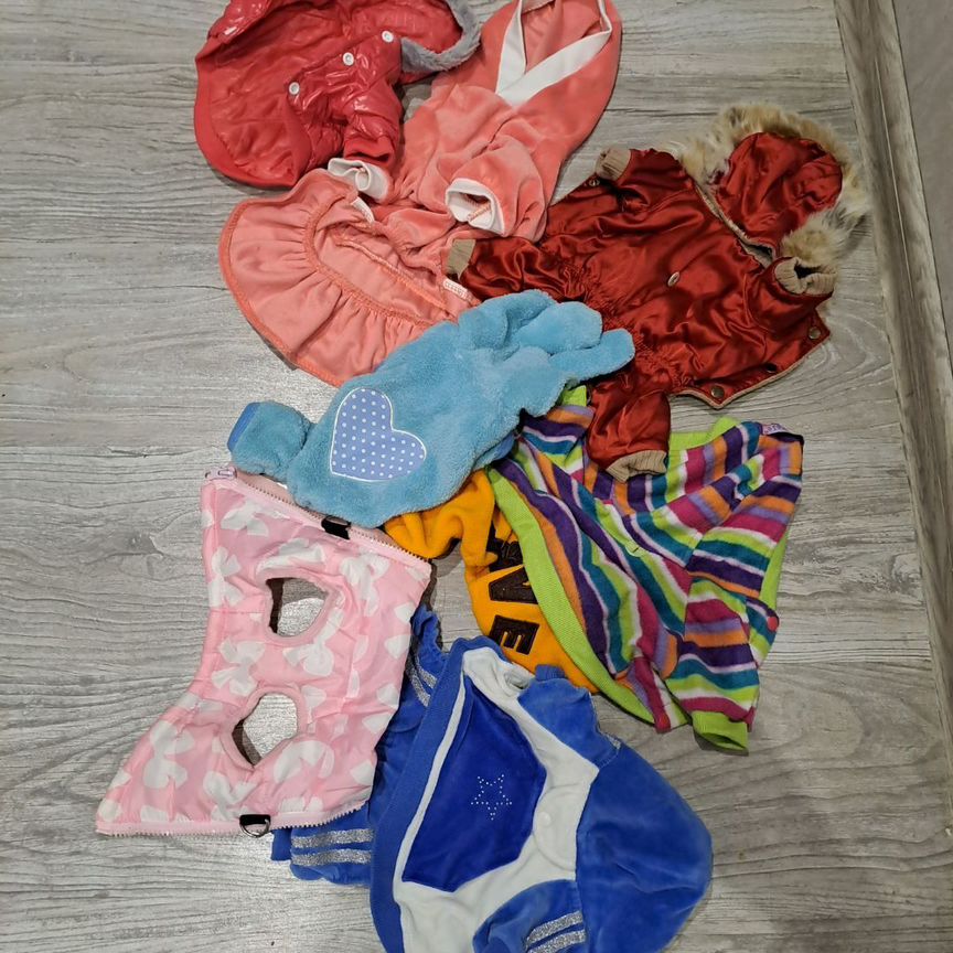 Одежда для собак