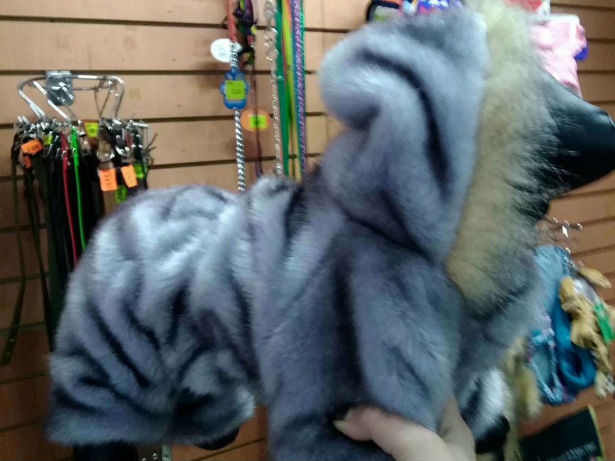 Одежда для собак