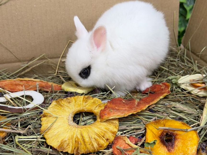 Сено Витамин коктейль