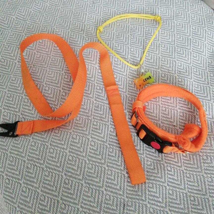 Адресники и амуниция для животных ручной работы