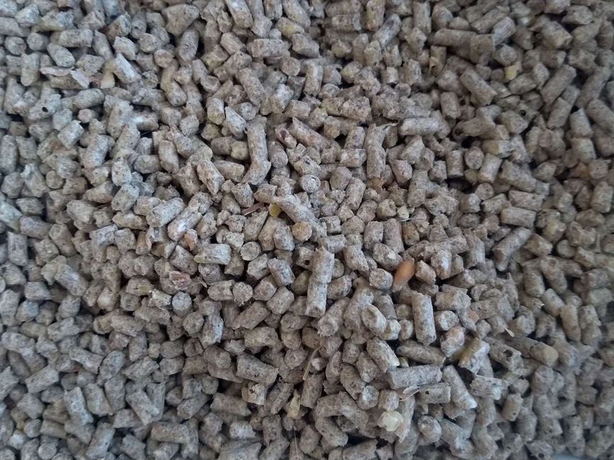 Рост- утка, гуси, муларды