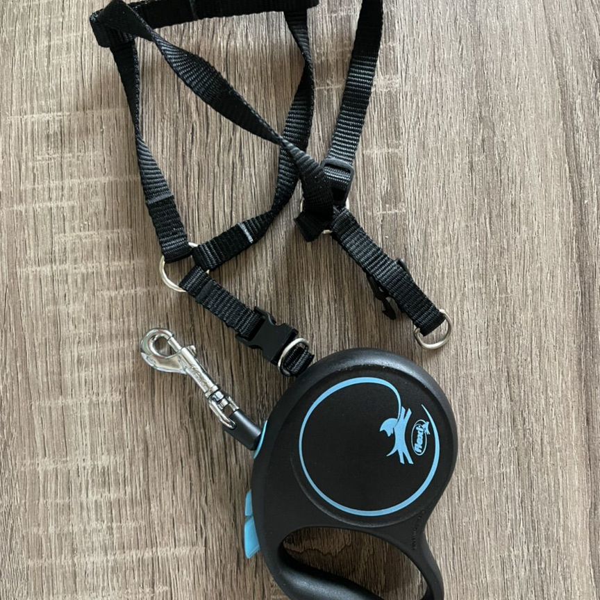 Поводок рулетка flexi и шлейка