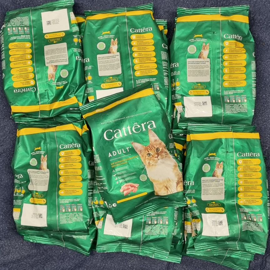 Сухой корм для кошек cattera