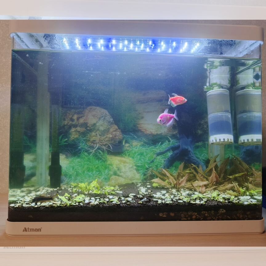 Аквариум с рыбками